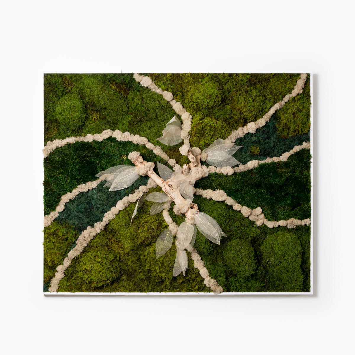 Moss Designs Decor | Figurine Shop Near Me | Moss Art Wall Frame