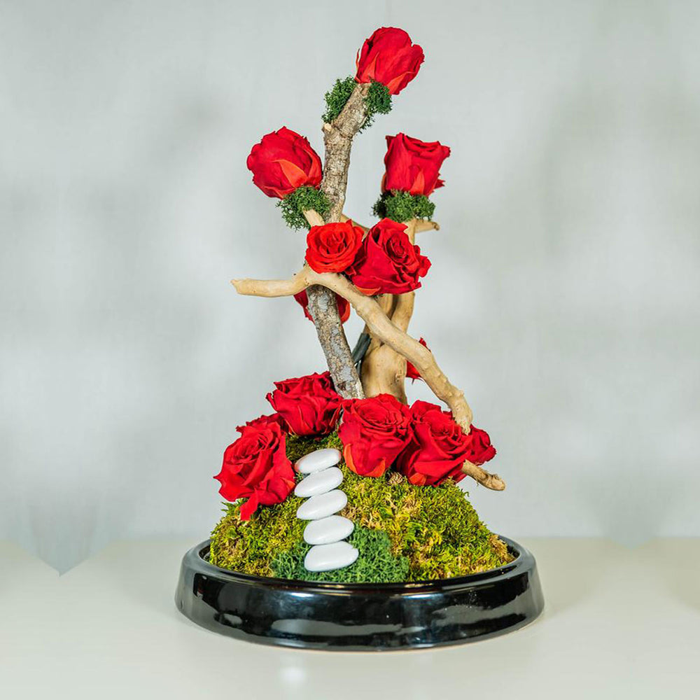 Preserved Roses - Big Glass Capsule | Carlos Marin Designer