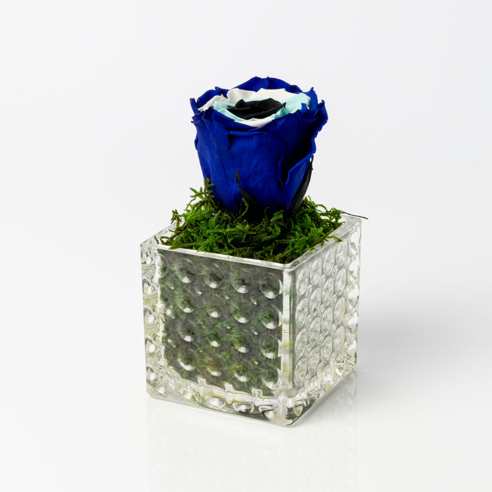 Preserved Roses | Carlos Marin Designer